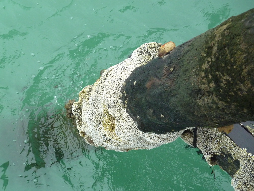 MARINE – PILE GUARD – MK ENERGY