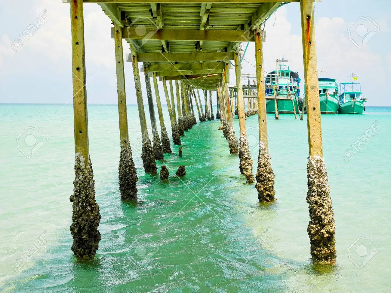 MARINE – PILE GUARD – MK ENERGY