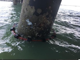 MARINE – PILE GUARD – MK ENERGY