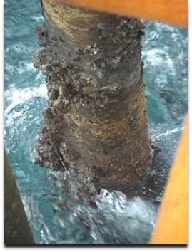 MARINE – PILE GUARD – MK ENERGY